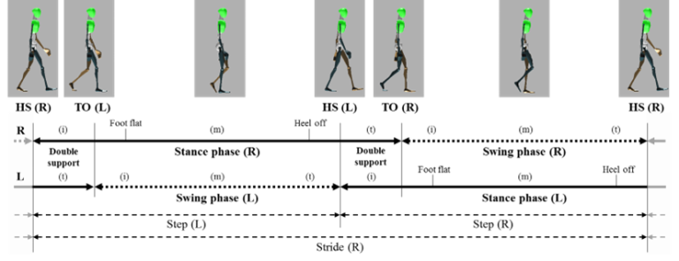 Gait Analysis – Maximizing Insights with Minimal Sensor Effort ...